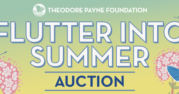 Flutter Into Summer Auction